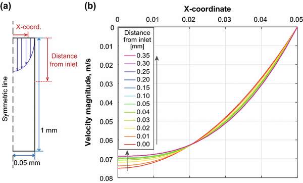 Transient response of slot coating flows of shear-thinning fluids to ...