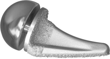 A Promising Thumb Basal Joint Hemiarthroplasty for Treatment of ...