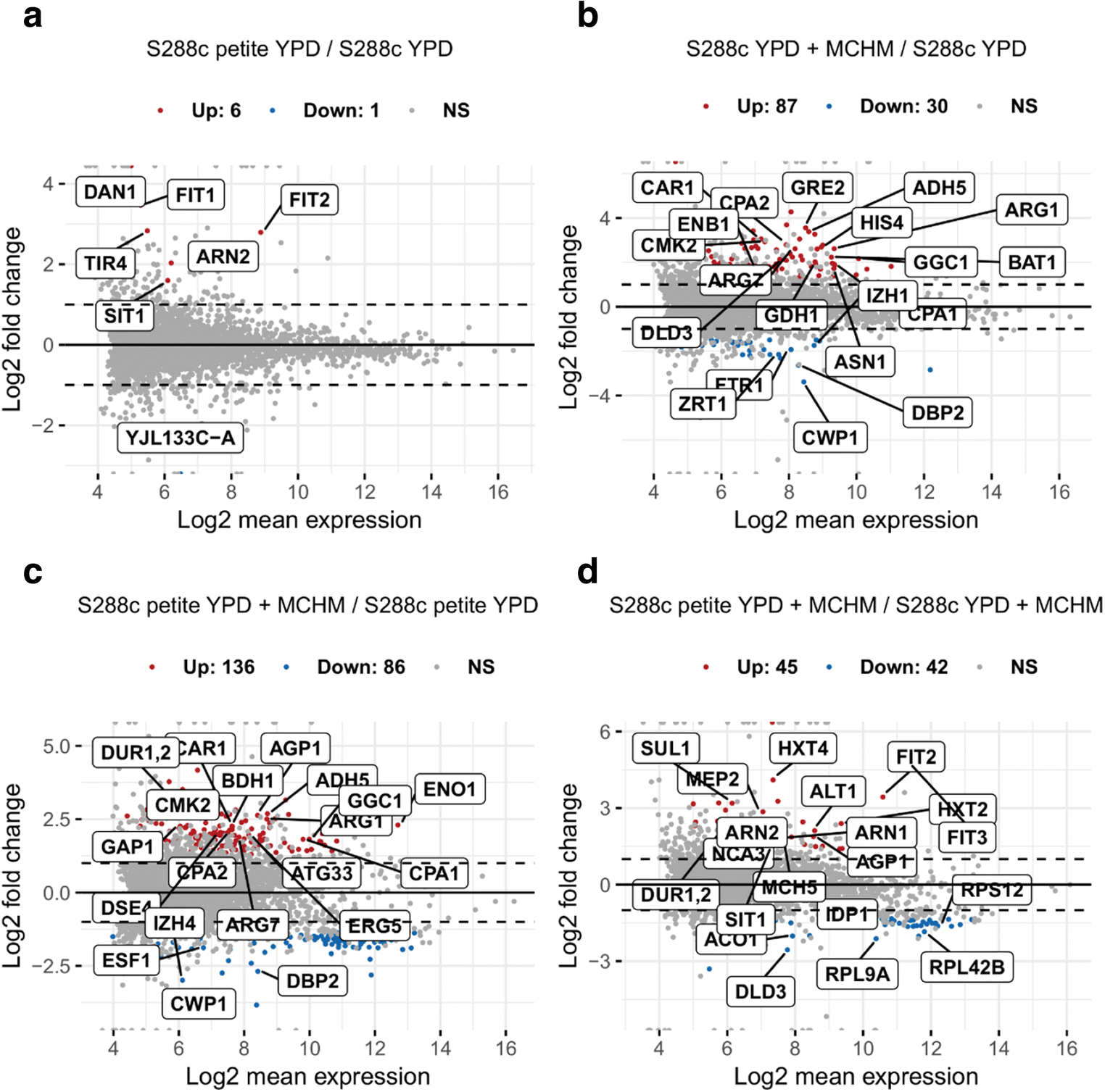 MCHM Acts as a Hydrotrope, Altering the Balance of Metals in Yeast ...