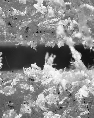 Statistical analysis of kerf mark measurements in bone | SpringerLink