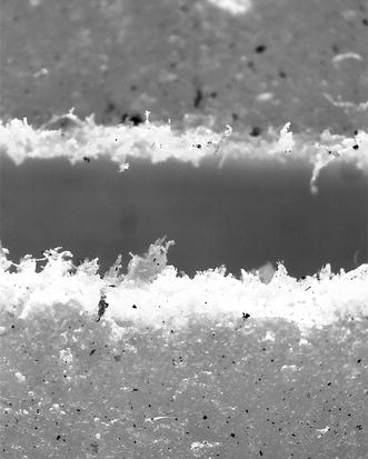 Statistical analysis of kerf mark measurements in bone | SpringerLink