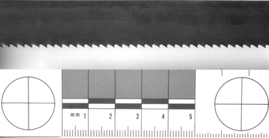 Statistical analysis of kerf mark measurements in bone | SpringerLink