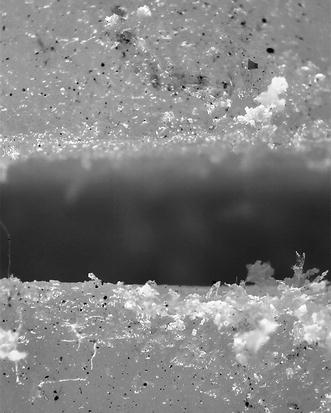 Statistical analysis of kerf mark measurements in bone | SpringerLink