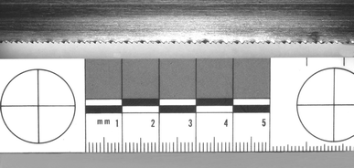Statistical analysis of kerf mark measurements in bone | SpringerLink