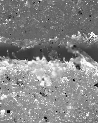 Statistical analysis of kerf mark measurements in bone | SpringerLink