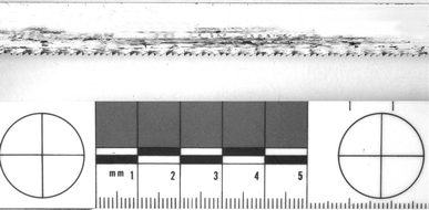 Statistical analysis of kerf mark measurements in bone | SpringerLink