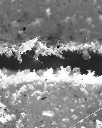 Statistical analysis of kerf mark measurements in bone | SpringerLink