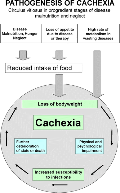 Forensic aspects of starvation | SpringerLink