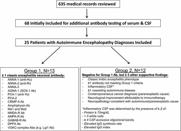 Autoimmune Encephalitis in the ICU: Analysis of Phenotypes, Serologic ...