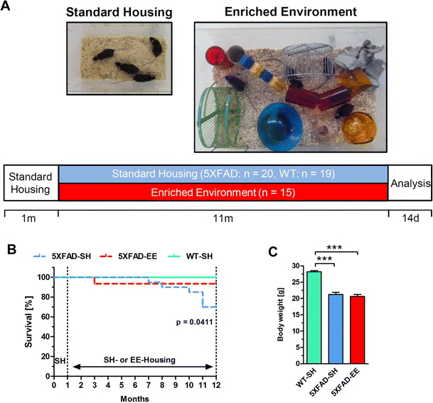 Limited Effects of Prolonged Environmental Enrichment on the Pathology ...