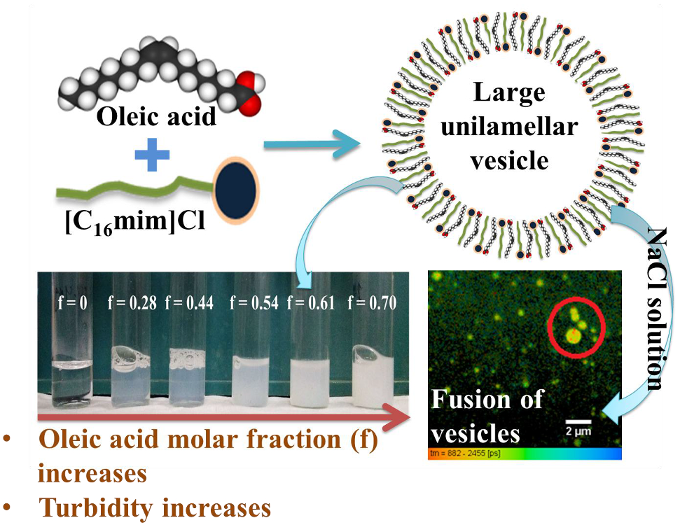 Modification of fatty acid vesicle using an imidazolium-based surface ...