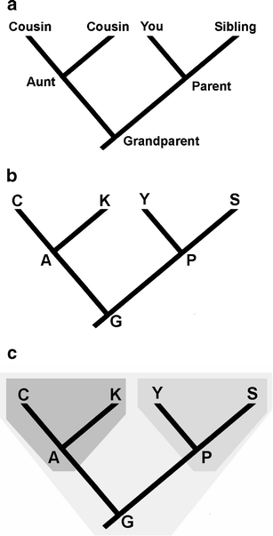 Understanding Evolutionary Trees | SpringerLink