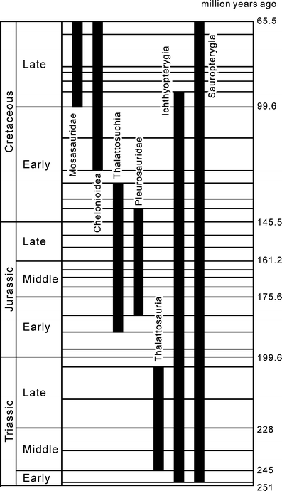 The Evolution of Marine Reptiles | SpringerLink