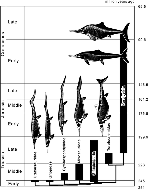 The Evolution of Marine Reptiles | SpringerLink