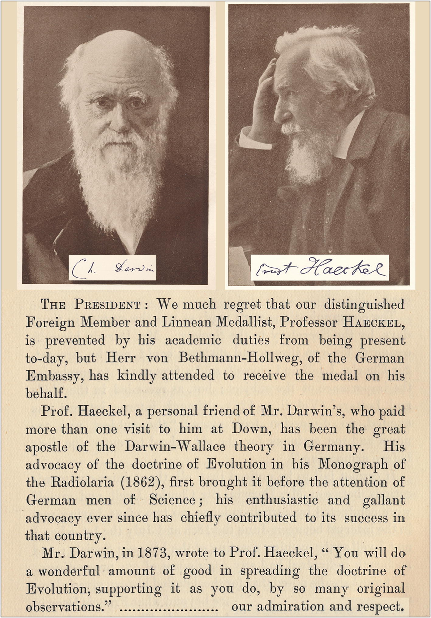 Ernst Haeckel (1834–1919): The German Darwin and his impact on modern ...