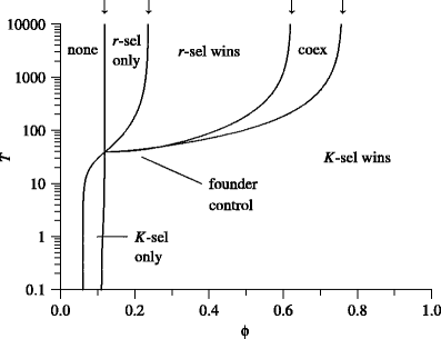 Floquet theory: a useful tool for understanding nonequilibrium dynamics ...