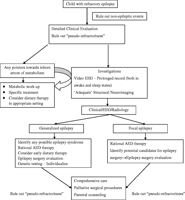 Refractory Epilepsy in Children | SpringerLink
