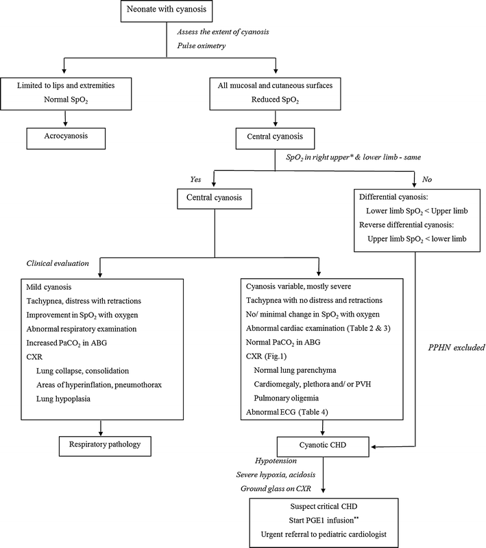 Clinical Approach to a Neonate with Cyanosis | SpringerLink