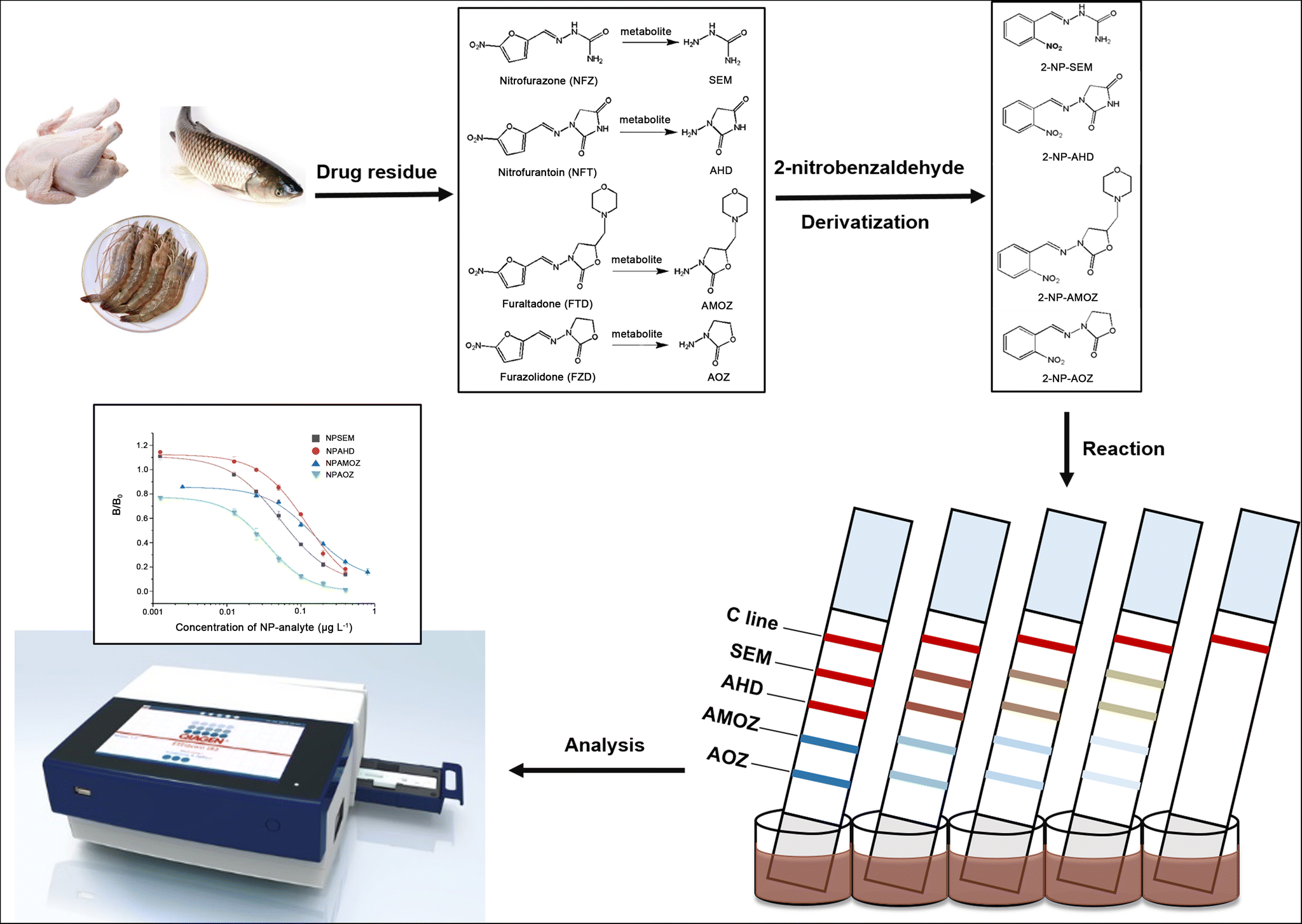 A Multiplex Immunochromatographic Assay Employing Colored Latex Beads ...
