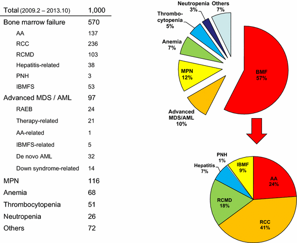 The current perspective of low-grade myelodysplastic syndrome in ...