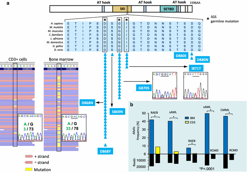 Somatic SETBP1 mutations in myeloid neoplasms | SpringerLink