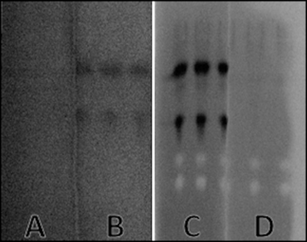 A novel, simple, and sensitive colorimetric method to determine ...