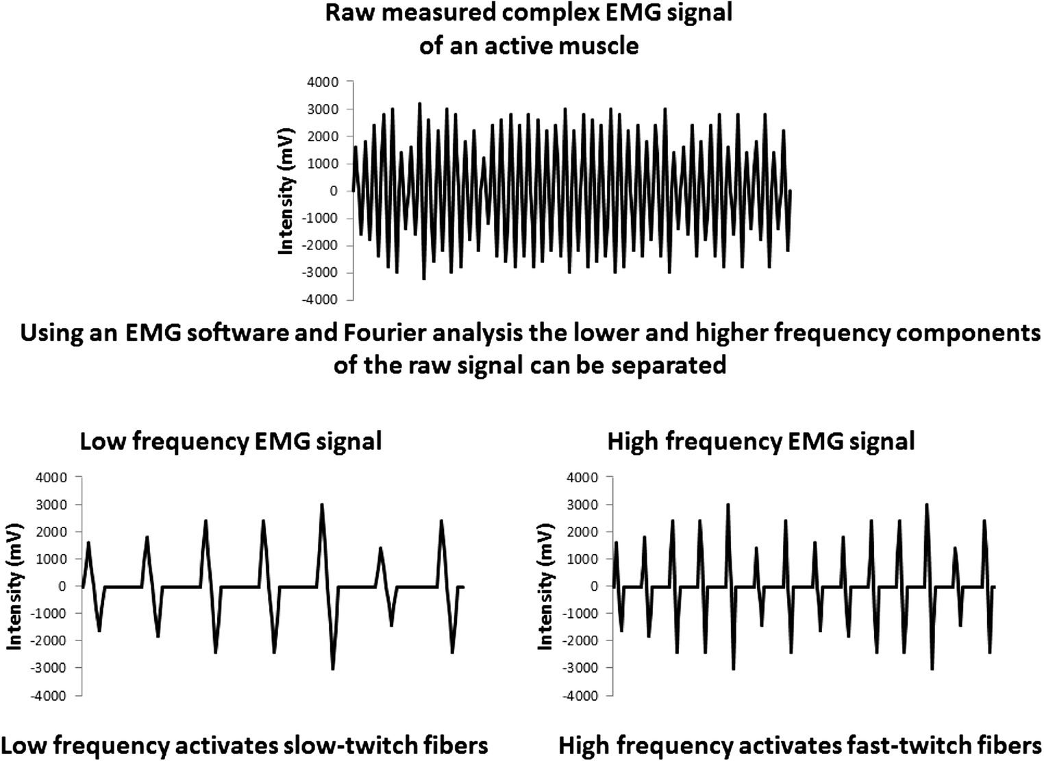 Adaptation of Fatigue Affected Changes in Muscle EMG Frequency ...