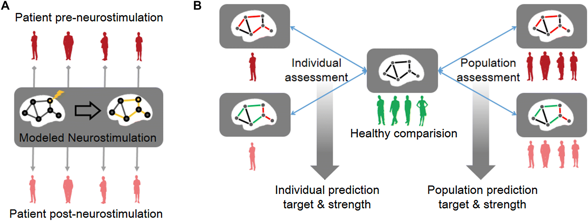 Functional Connectivity-Based Modelling Simulates Subject-Specific ...