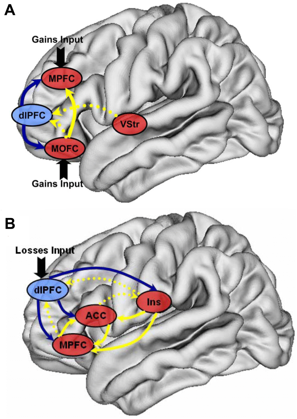 Separate Neural Networks for Gains and Losses in Intertemporal Choice ...