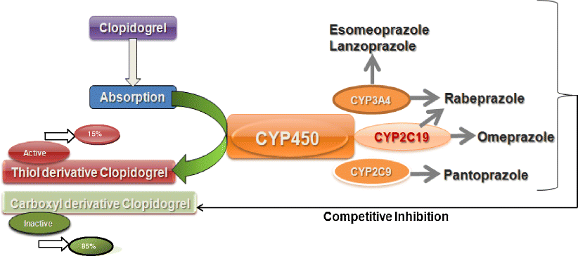 The Clinical Relevance of the Clopidogrel–Proton Pump Inhibitor ...