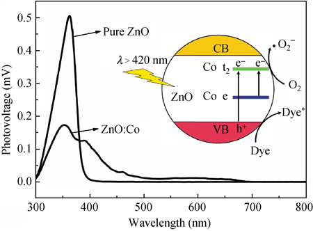 A high performance cobalt-doped ZnO visible light photocatalyst and its ...