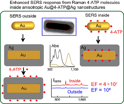 Surface-enhanced Raman scattering inside Au@Ag core/shell nanorods ...