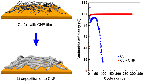A carbon nanofiber network for stable lithium metal anodes with high ...