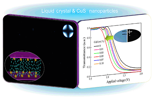 Effects of morphology and concentration of CuS nanoparticles on ...