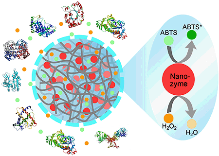 Fabrication of nanozyme@DNA hydrogel and its application in biomedical ...