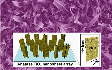 Mesocrystalline TiO2 nanosheet arrays with exposed {001} facets ...