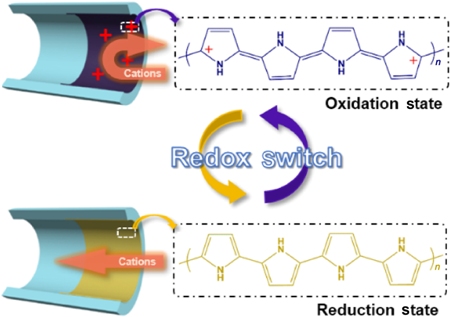 Redox switch of ionic transport in conductive polypyrrole-engineered ...