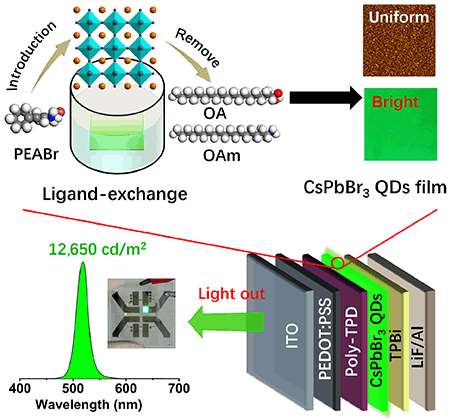 Highly bright and low turn-on voltage CsPbBr3 quantum dot LEDs via conjugation molecular ligand ...