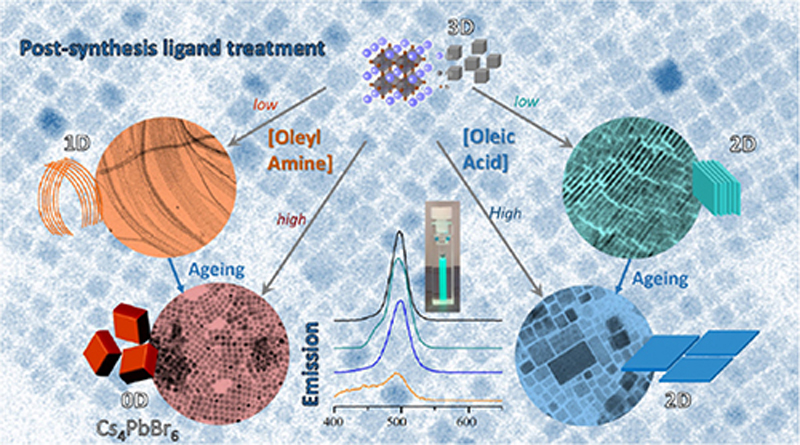 Post-synthesis phase and shape evolution of CsPbBr3 colloidal nanocrystals: The role of ligands ...