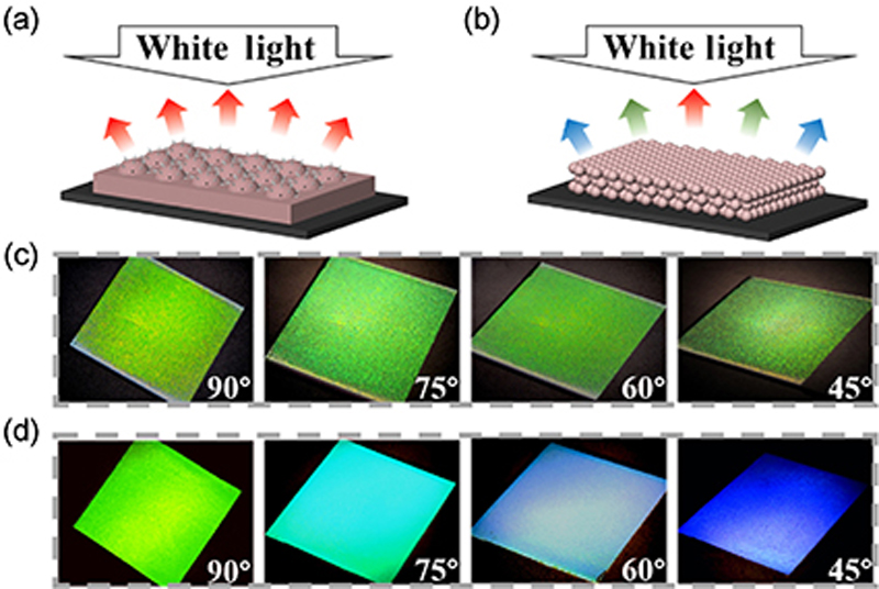 Bio-inspired angle-independent structural color films with anisotropic ...