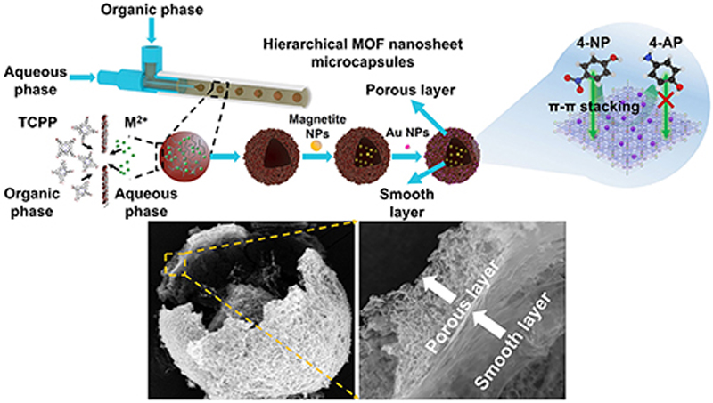 High-throughput droplet microfluidic synthesis of hierarchical metal ...