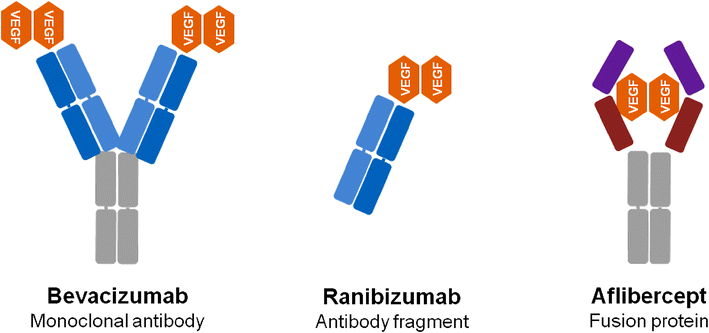 Current Perspectives on the Use of Anti-VEGF Drugs as Adjuvant Therapy ...