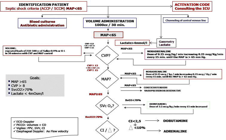 Sepsis: A Review of Advances in Management | SpringerLink
