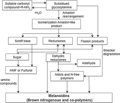 Melanoidins Formed by Maillard Reaction in Food and Their Biological ...
