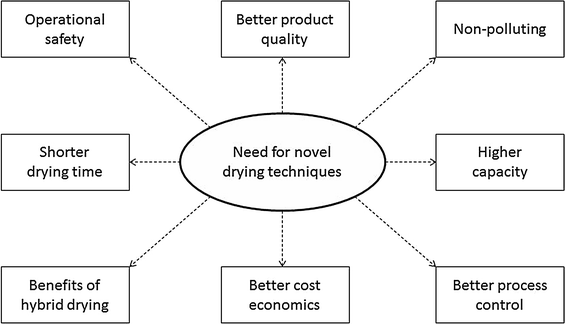 Novel Drying Techniques for the Food Industry | SpringerLink