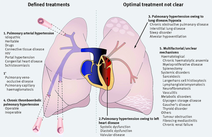 Multiparametric Magnetic Resonance Imaging in Pulmonary Hypertension ...