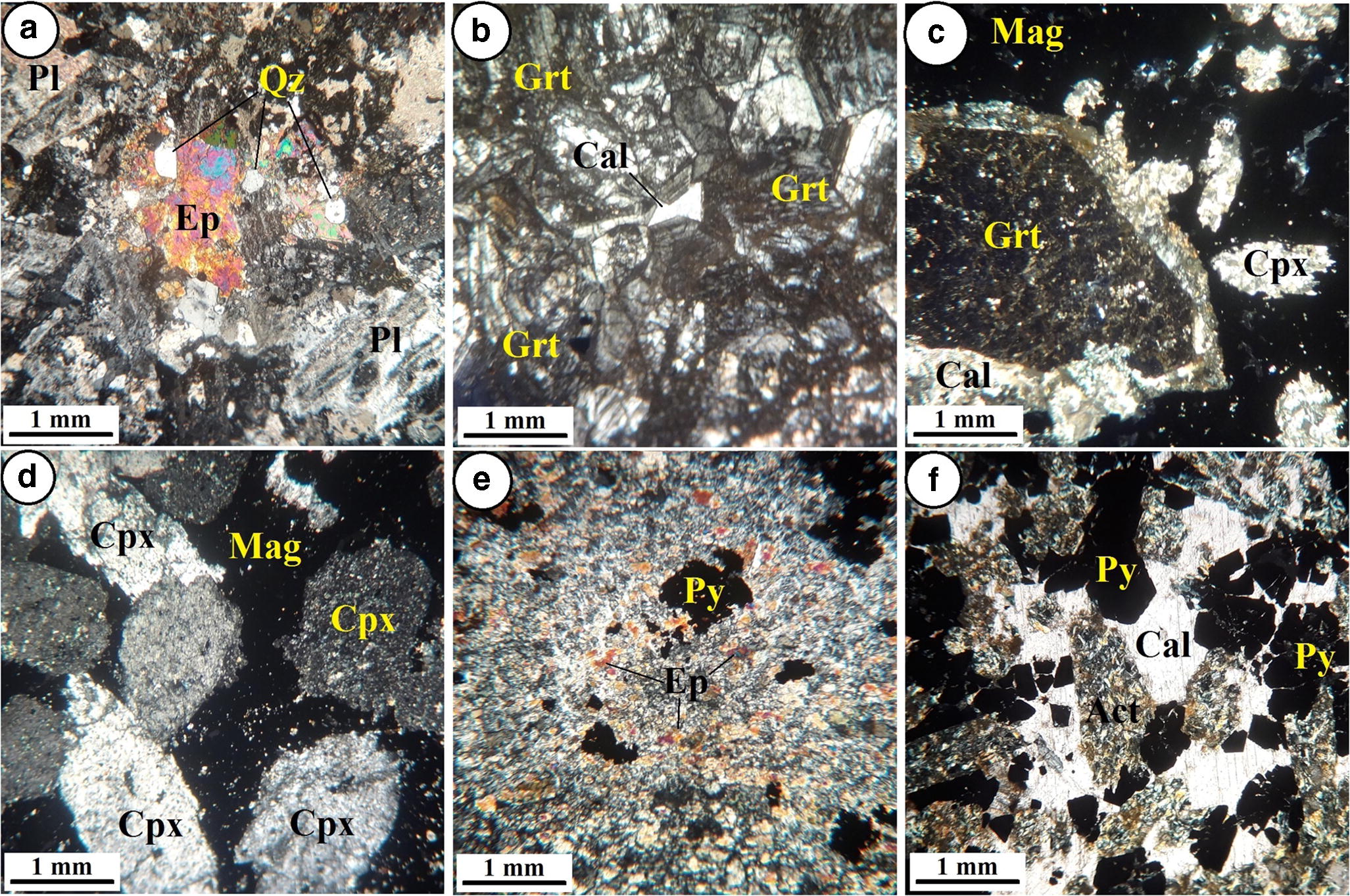 Mineral chemistry and formation conditions of calc-silicate minerals of ...