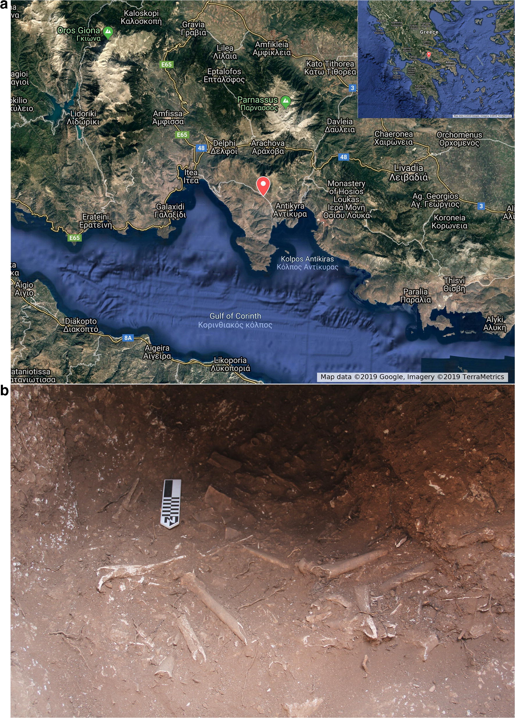 Bone diagenesis in a Mycenaean secondary burial (Kastrouli, Greece ...
