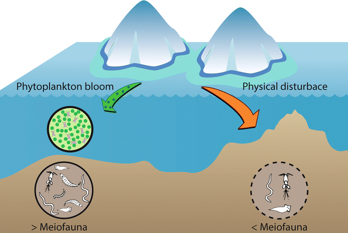 Is the meiofauna a good indicator for climate change and anthropogenic ...