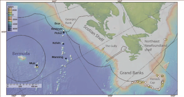 First records of Geodia demosponges from the New England seamounts, an ...
